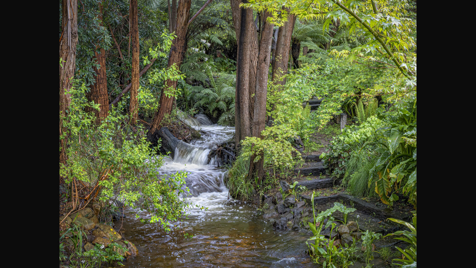 The Ranges in Focus 2023 - Macedon Ranges Photographic Society